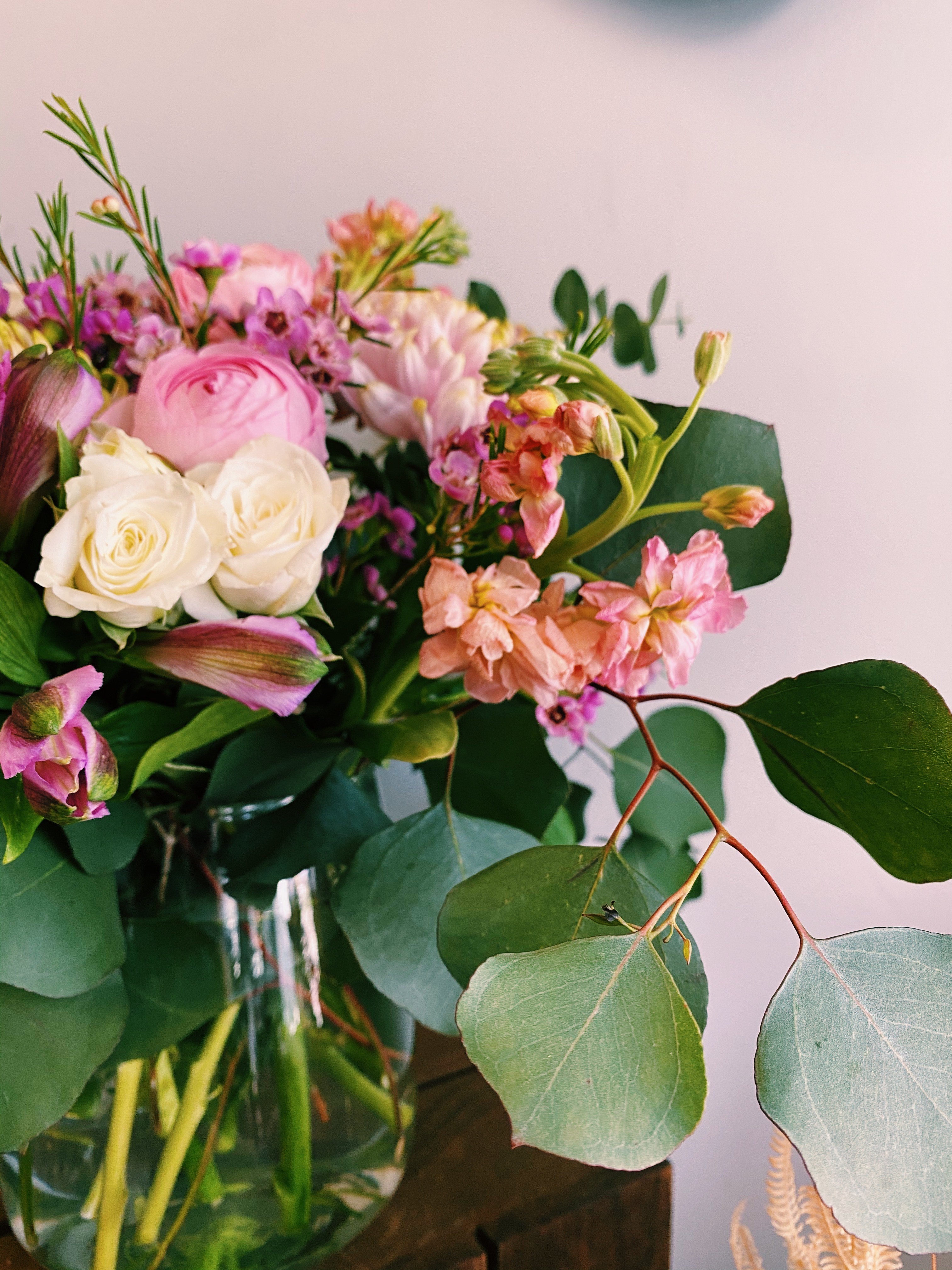 Wild Willy's Plants and Flowers - Home