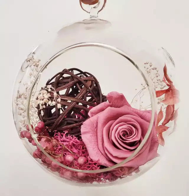 Preserved Roses – Wild Willy's Plants and Flowers