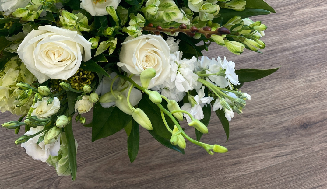 Wild Willy's Plants and Flowers - Home